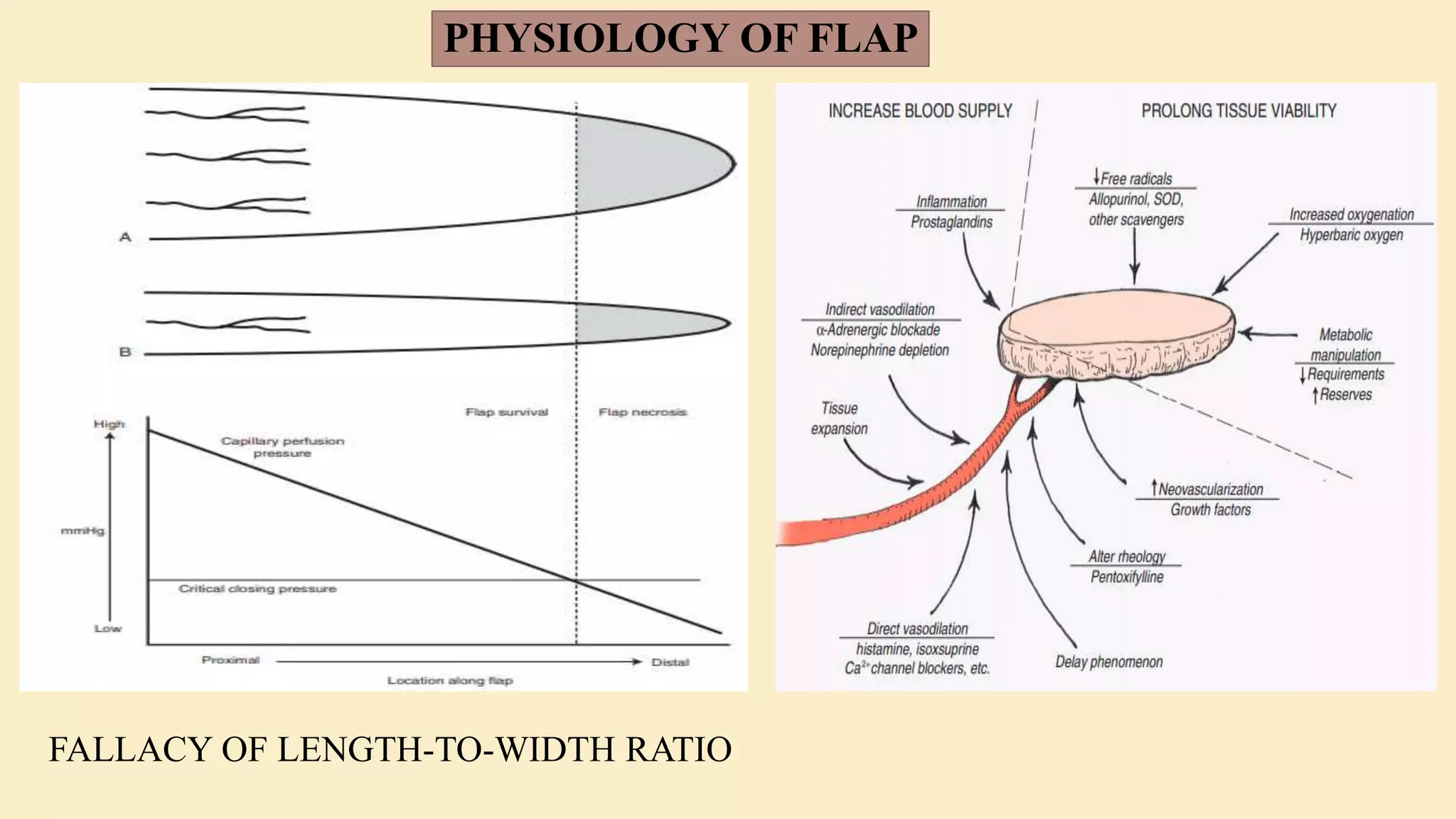 FLAPS IN ORAL AND MAXILLOFACIAL SURGERY (monday ppt).pptx