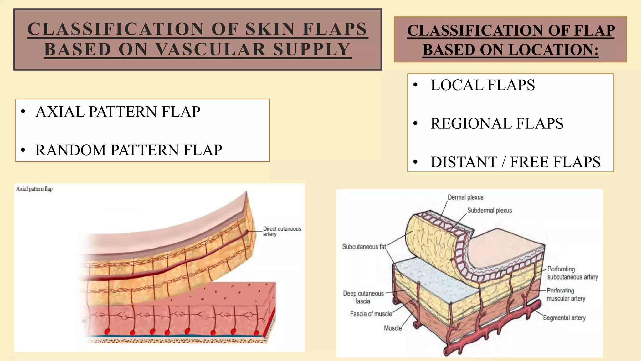 FLAPS IN ORAL AND MAXILLOFACIAL SURGERY (monday ppt).pptx