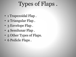 Two Types Of Flaps