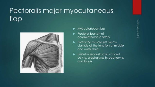 Flaps in otolaryngology