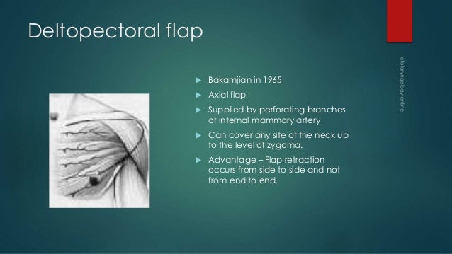 Flaps in otolaryngology