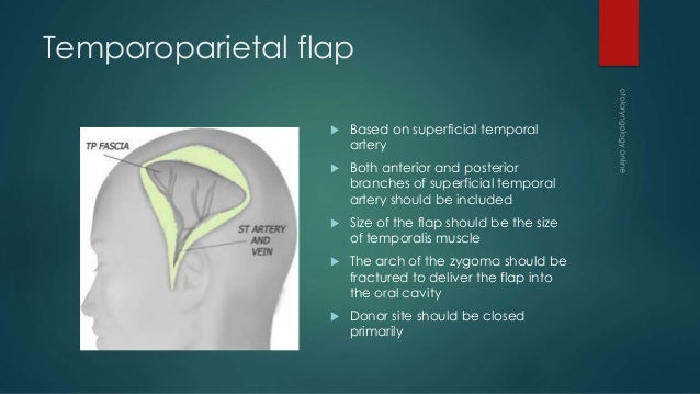 Flaps in otolaryngology
