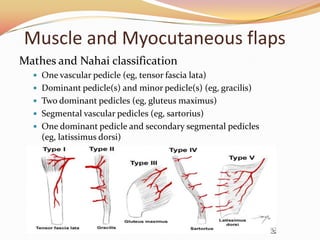 Flaps in plastic surgery | PPTX