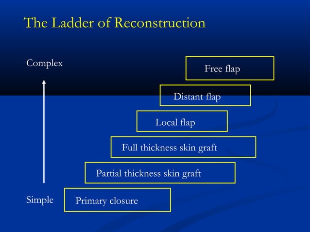 Flaps in plastic surgery | PPT | First Aid | Injuries