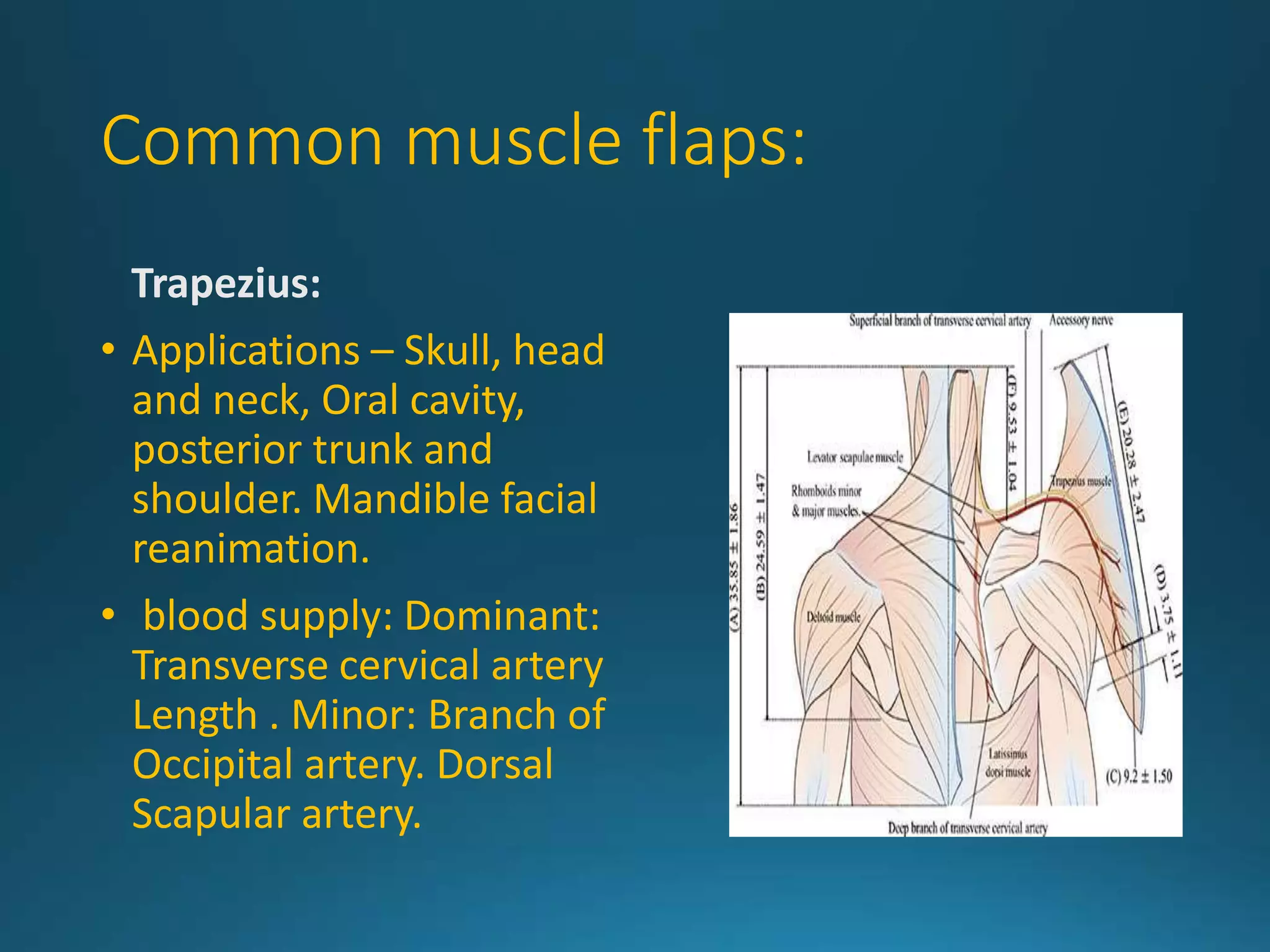 Flaps in surgery | PPTX