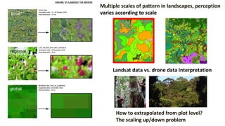 Integrating bottom up and top down research pathways for biodiversity ...