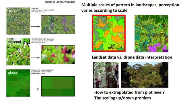 Integrating bottom up and top down research pathways for biodiversity ...