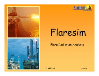 Flaresim design basic Analysis slideshow.pdf | Physics | Science