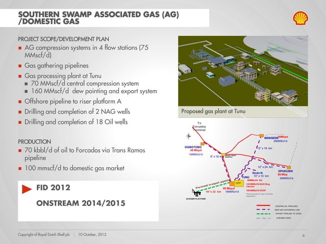 SPDC Flares Reduction Programme | PDF