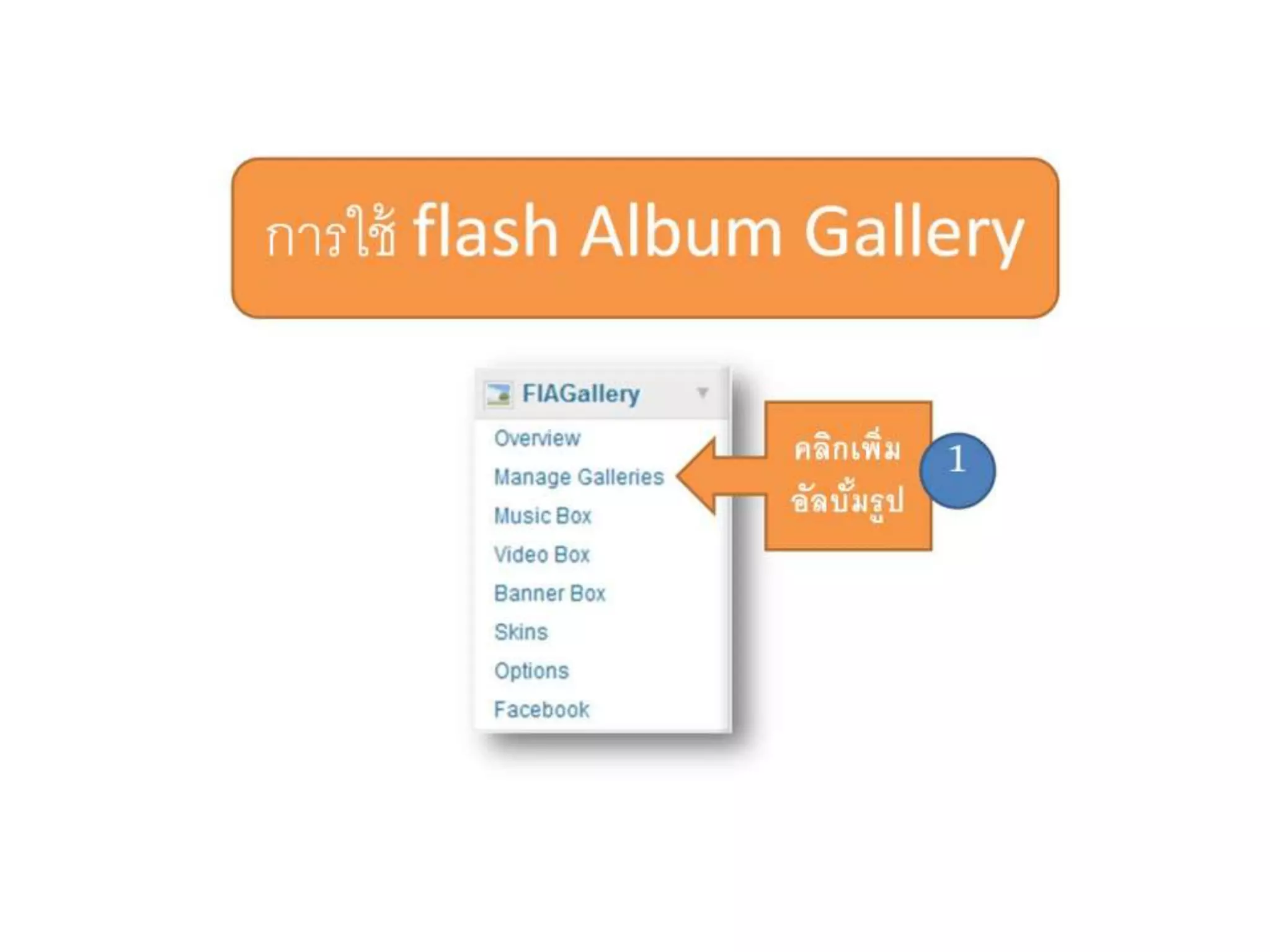 Flash album gallery2 | PPTX