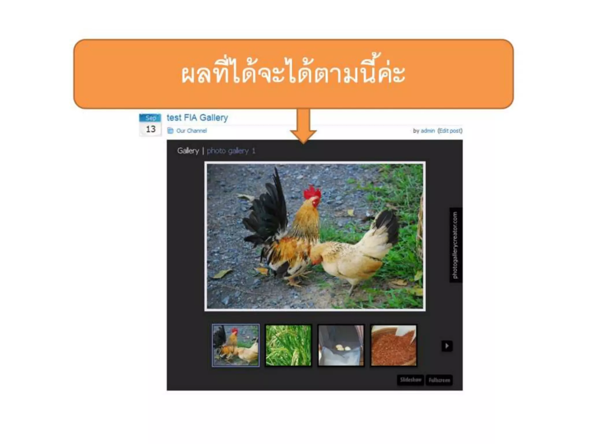 Flash album gallery2 | PPTX