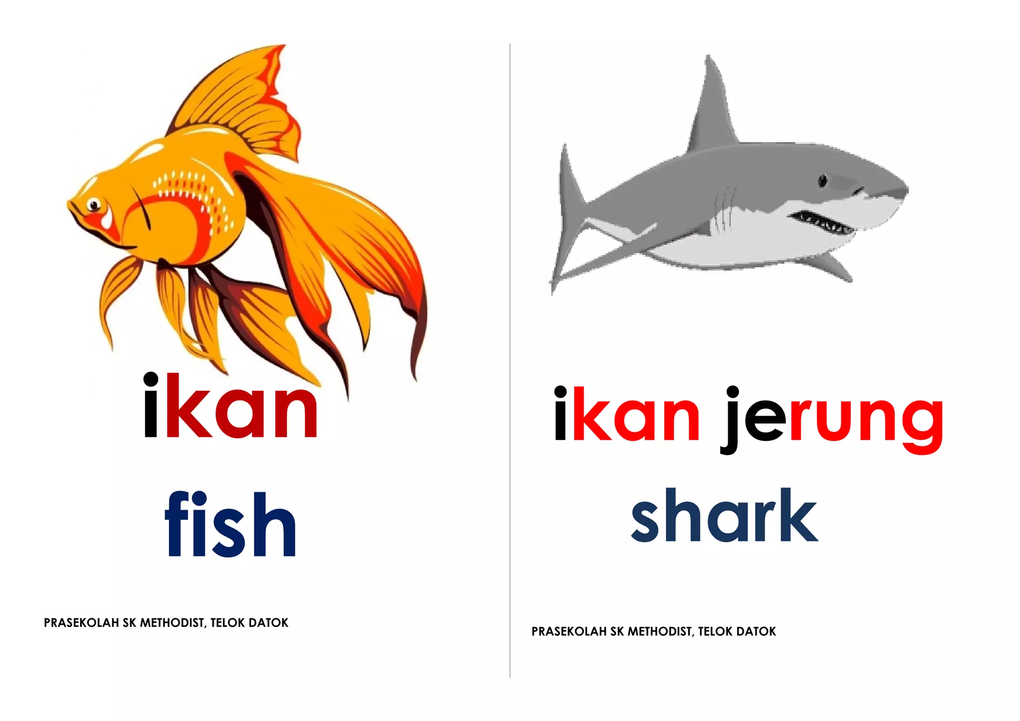 Flash card (bm dan bi) | PPT