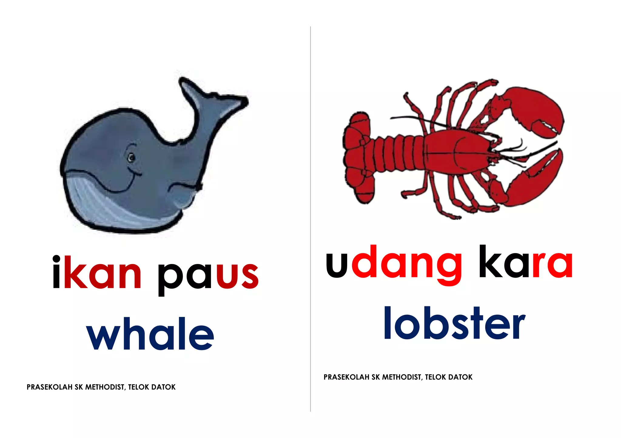 Flash card (bm dan bi) | PPT