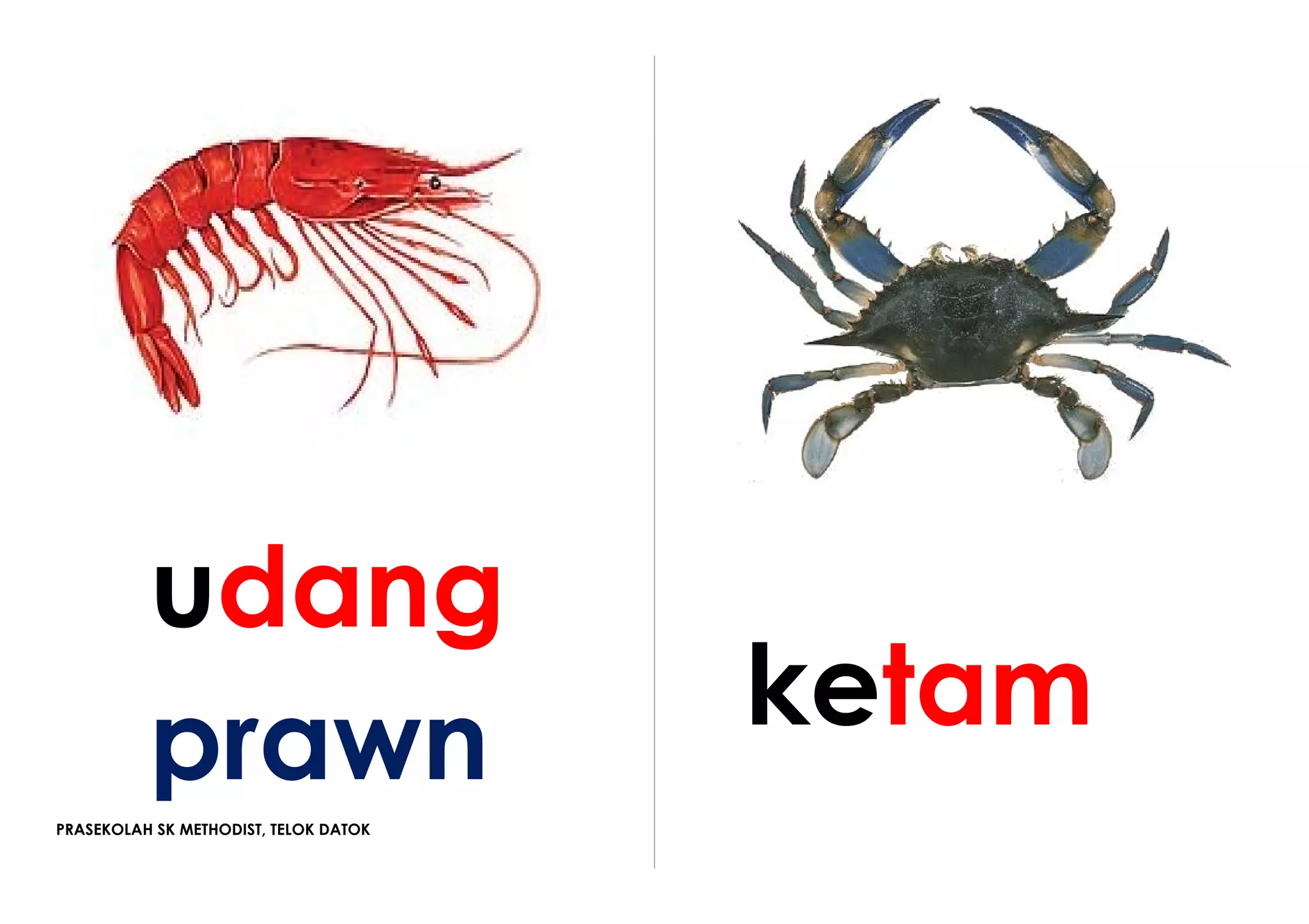 Flash card (bm dan bi) | PPT