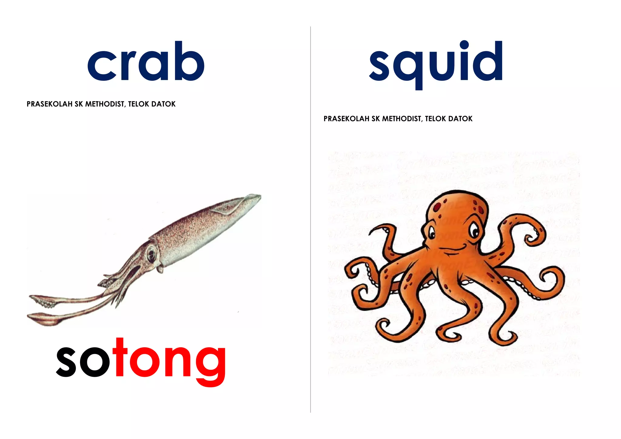 Flash card (bm dan bi) | PPT