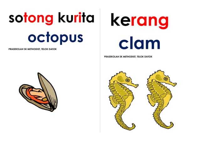 Flash card (bm dan bi) | PPT