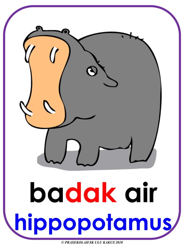 Flash card haiwan liar (bm & bi) | PDF