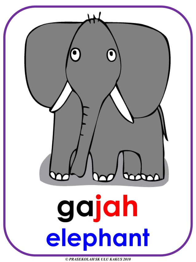 Flash card haiwan liar (bm & bi) | PDF