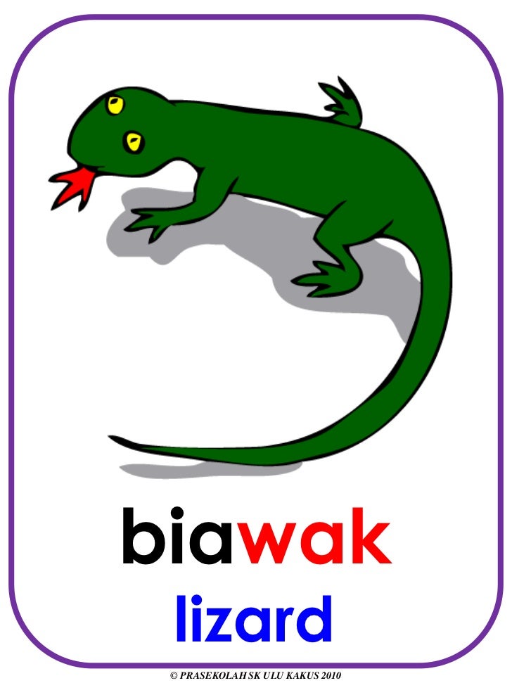 Flash card haiwan liar (bm & bi)