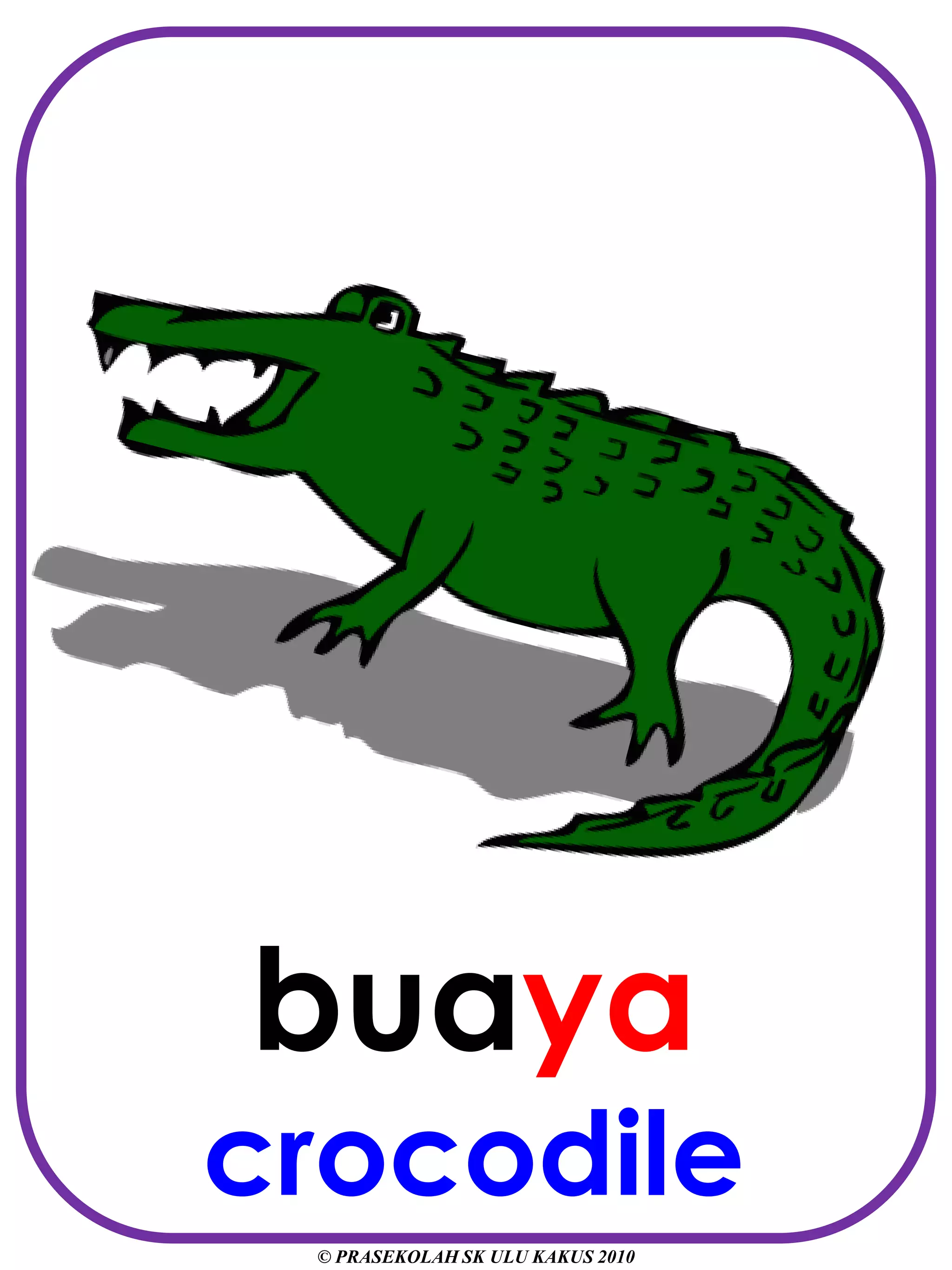 Flash card haiwan liar (bm & bi) | PDF