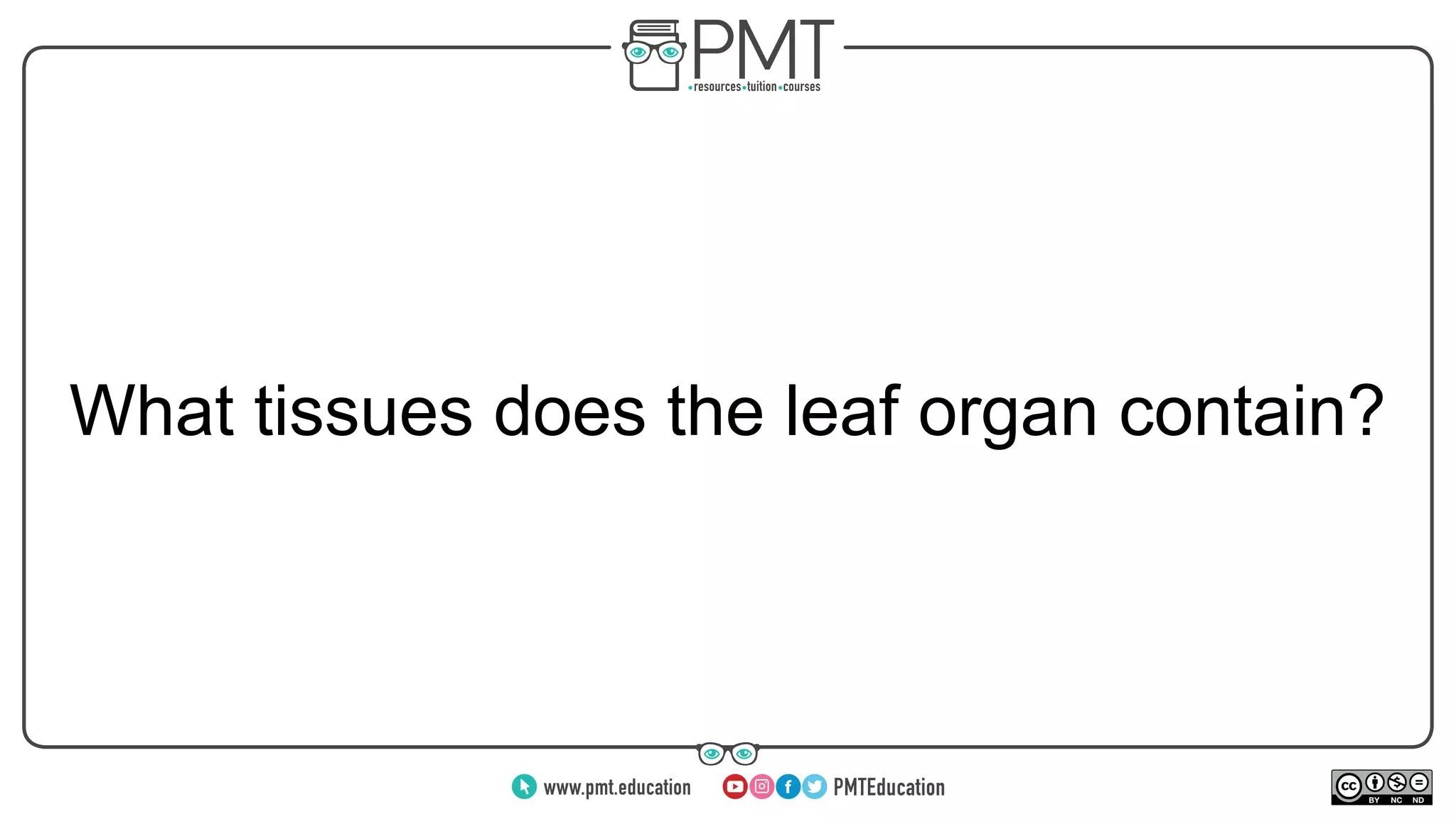 Flashcards - 2.3 Plant Tissues, Organs and Systems - AQA Biology GCSE.pdf