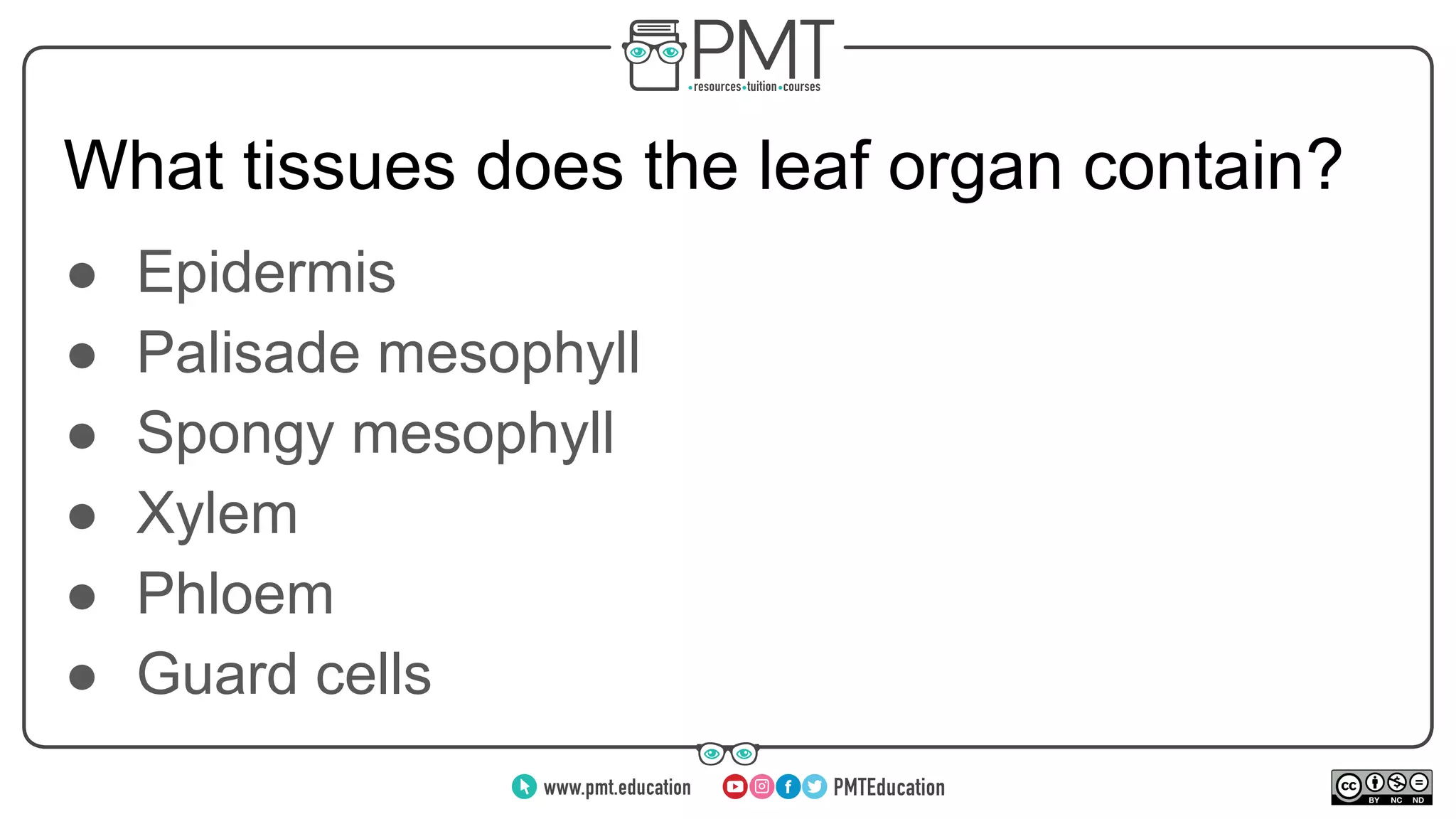 Flashcards - 2.3 Plant Tissues, Organs and Systems - AQA Biology GCSE.pdf