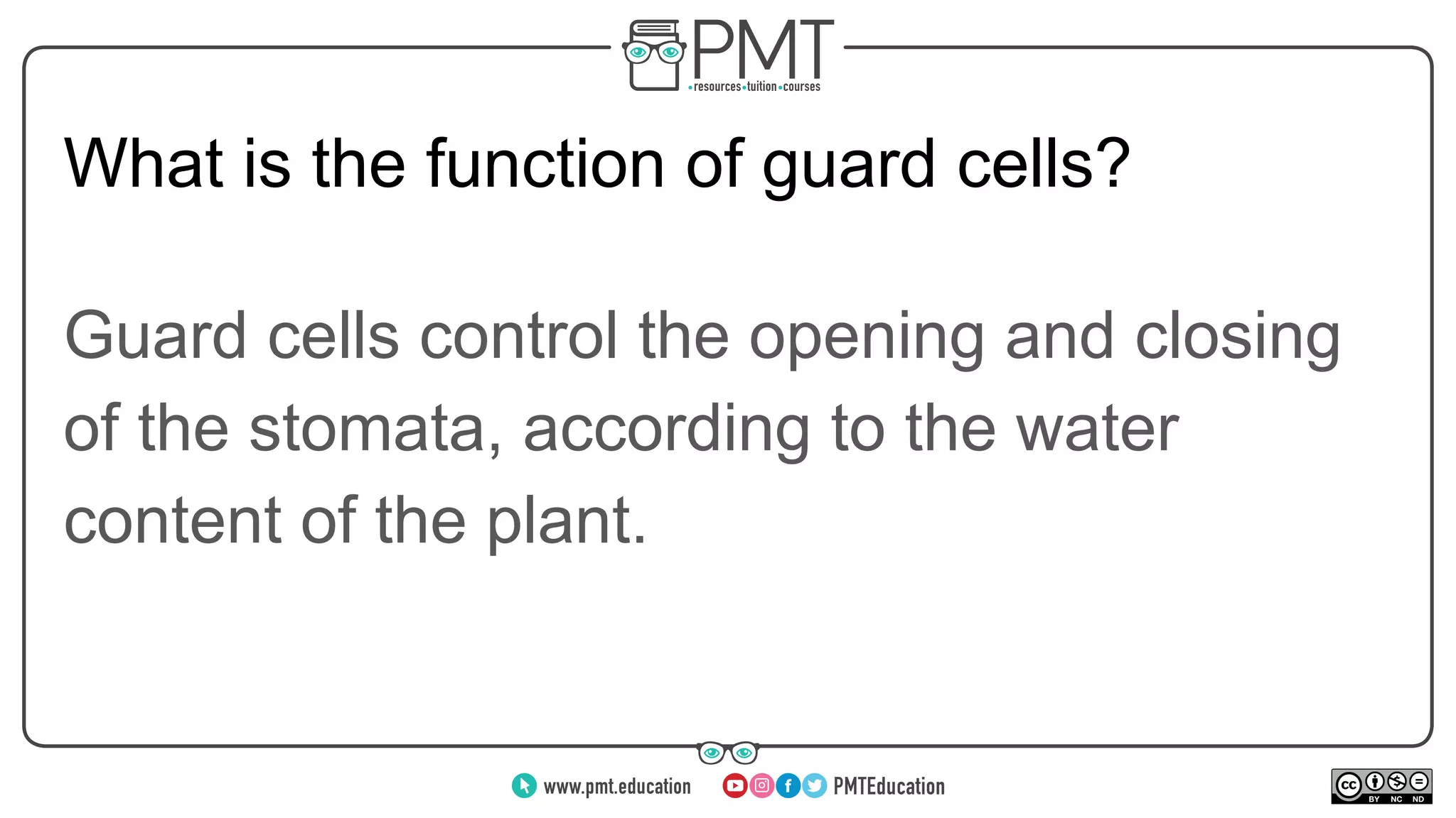 Flashcards - 2.3 Plant Tissues, Organs and Systems - AQA Biology GCSE.pdf