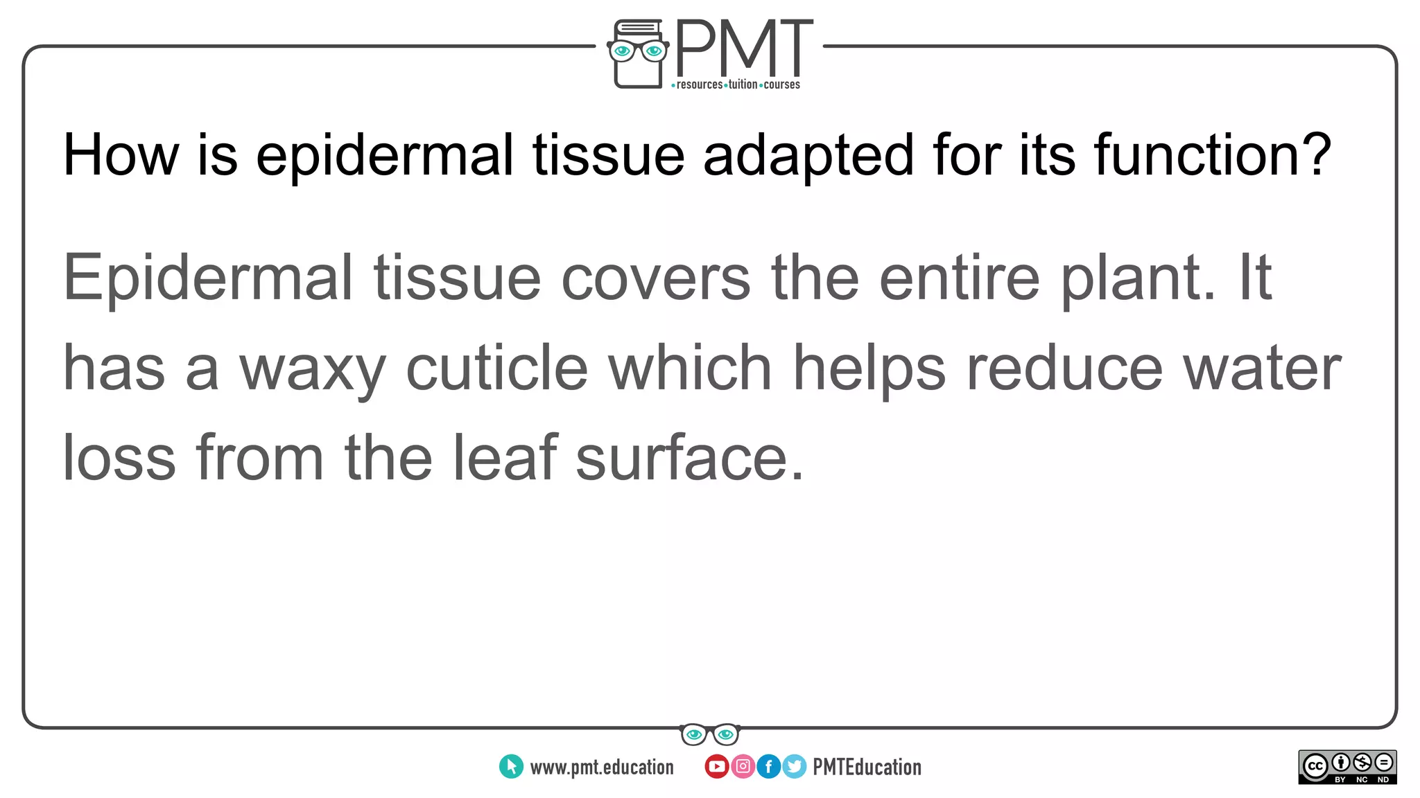 Flashcards - 2.3 Plant Tissues, Organs and Systems - AQA Biology GCSE.pdf