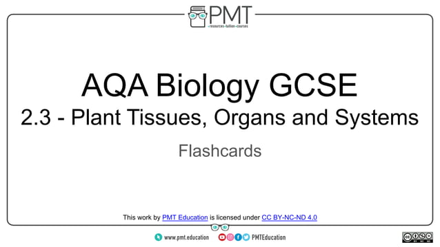 Flashcards - 2.3 Plant Tissues, Organs and Systems - AQA Biology GCSE ...