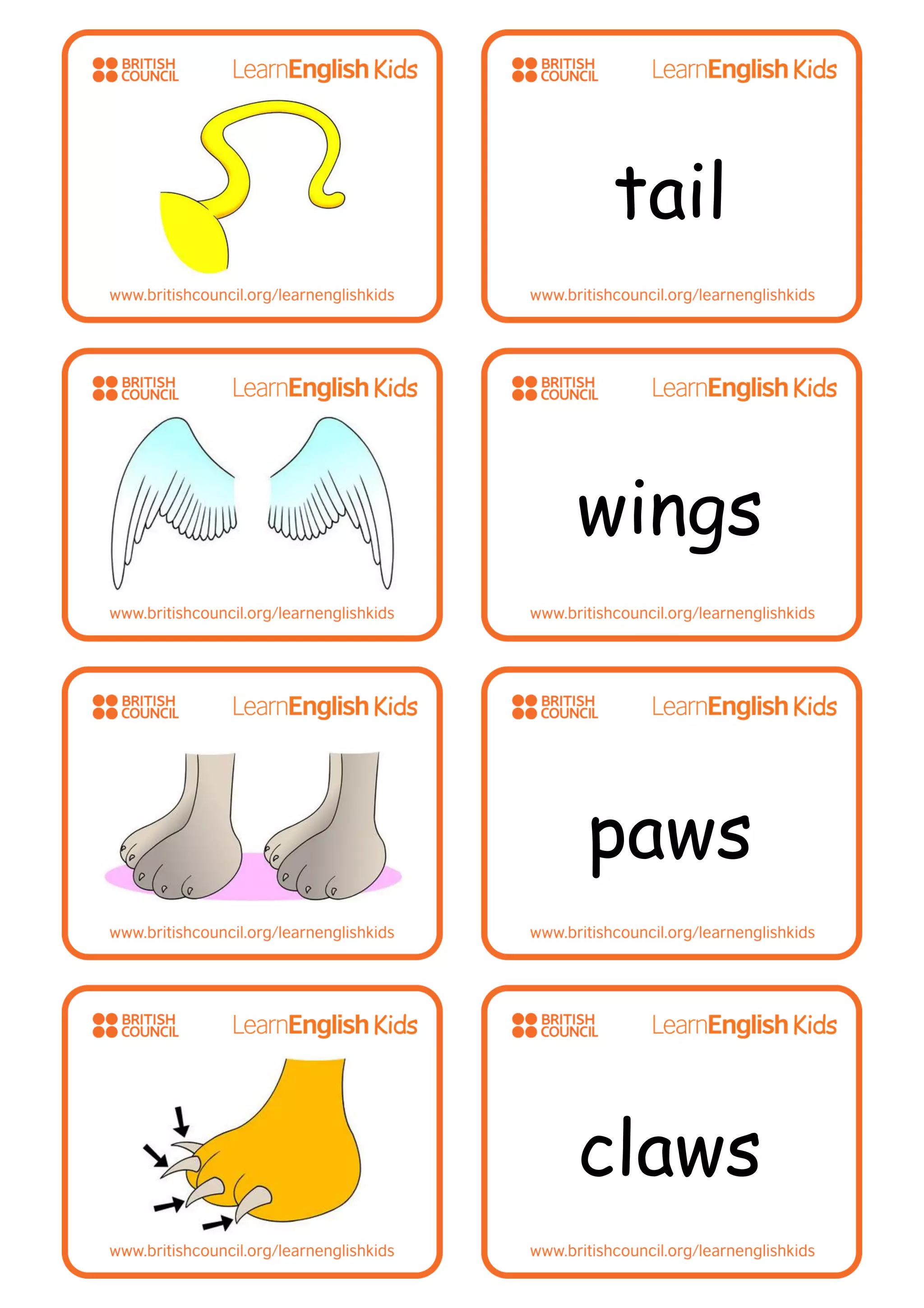 Flashcards animal-body-parts | PDF