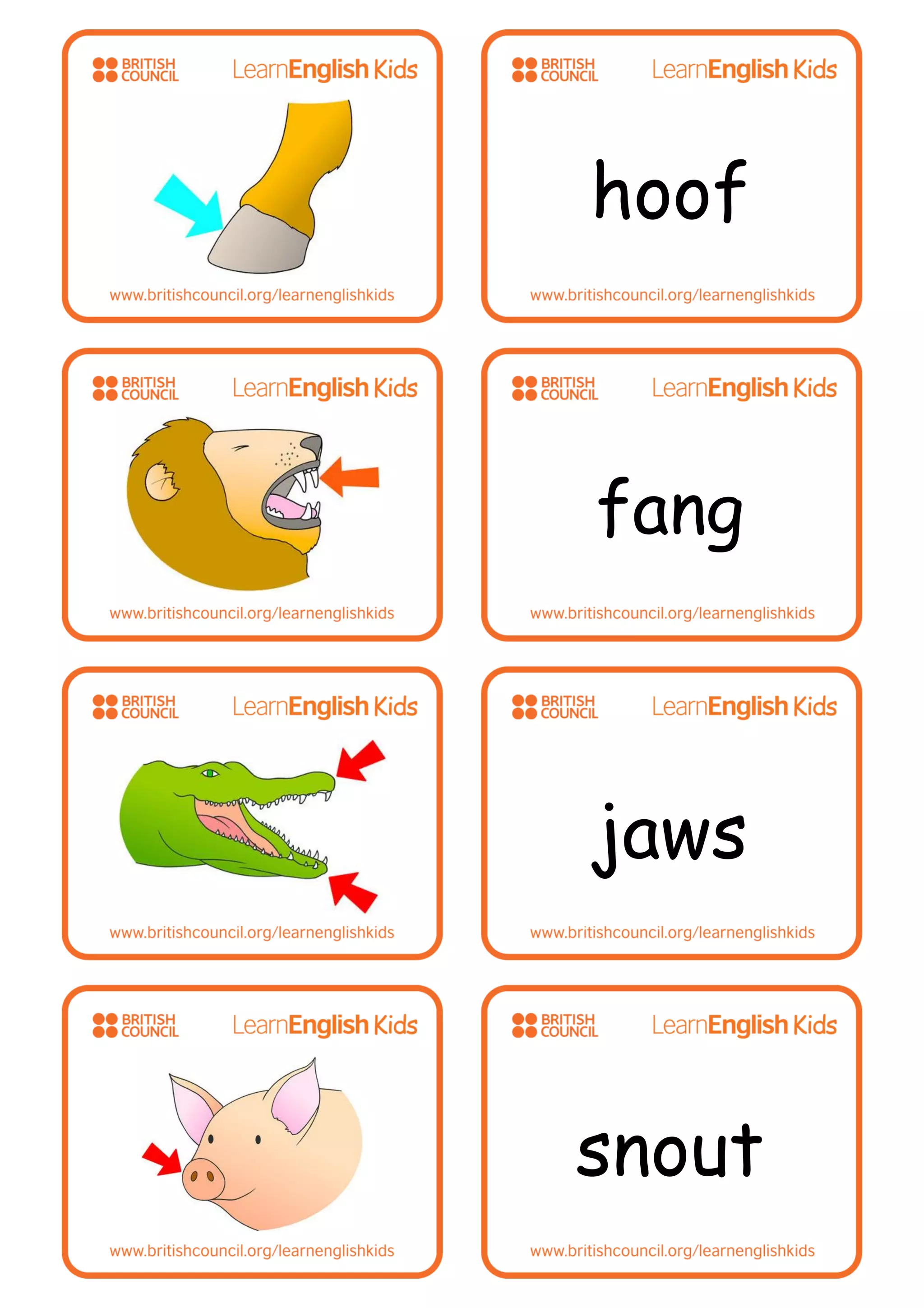 Flashcards animal-body-parts | PDF
