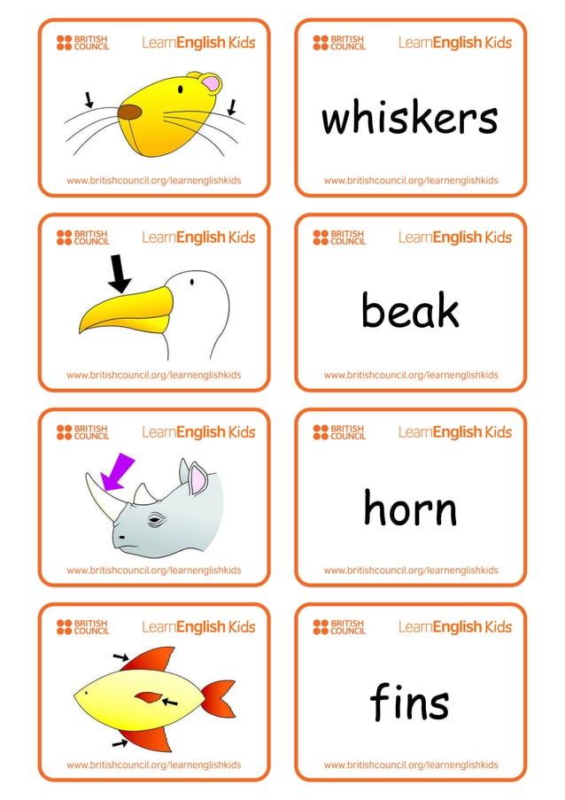 Flashcards animal-body-parts | PDF