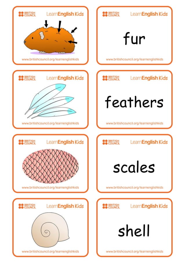 Flashcards animal-body-parts | PDF