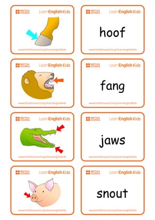 Flashcards animal-body-parts | PDF