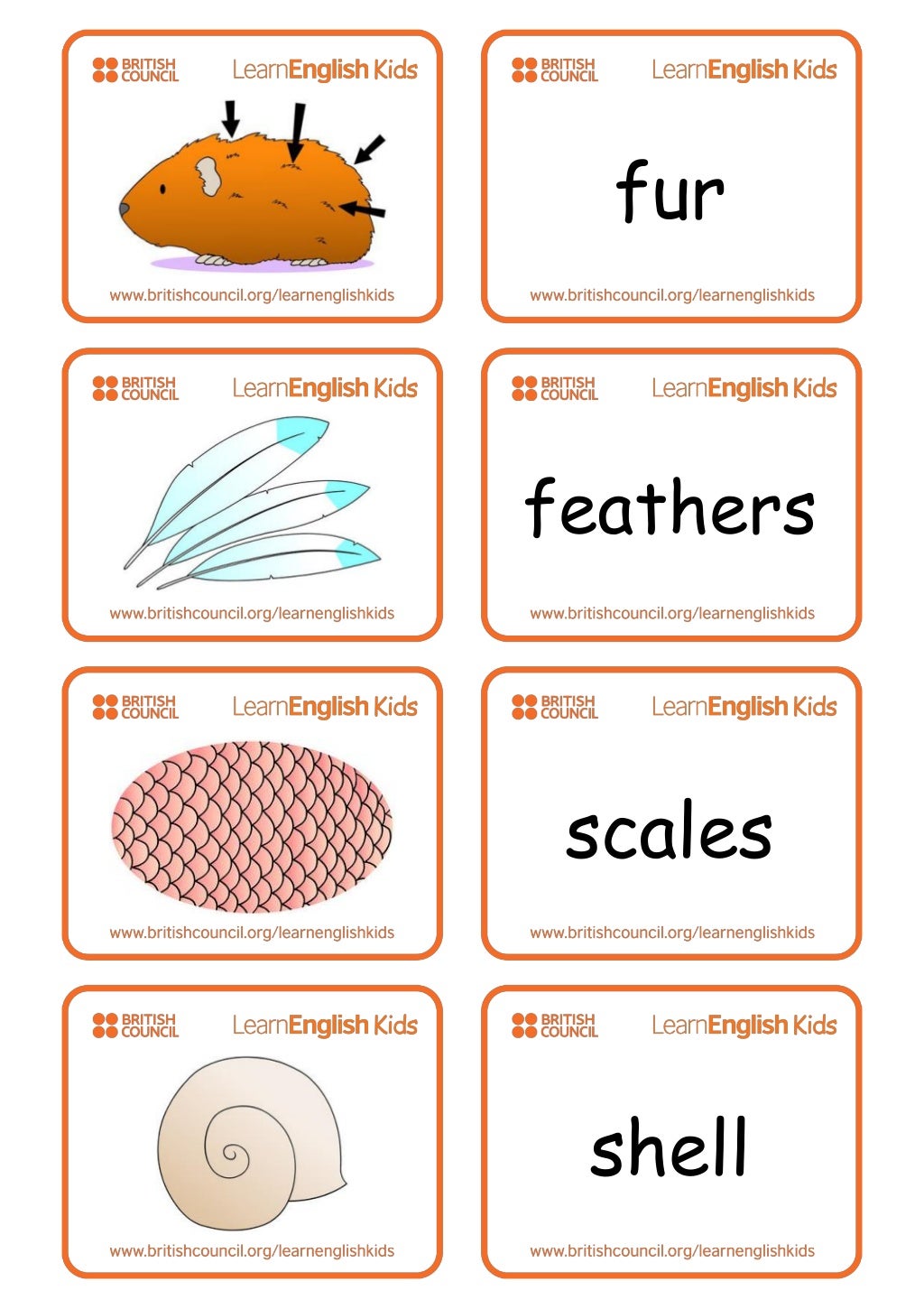Flashcards Animal body parts flashcards-animal-body-parts