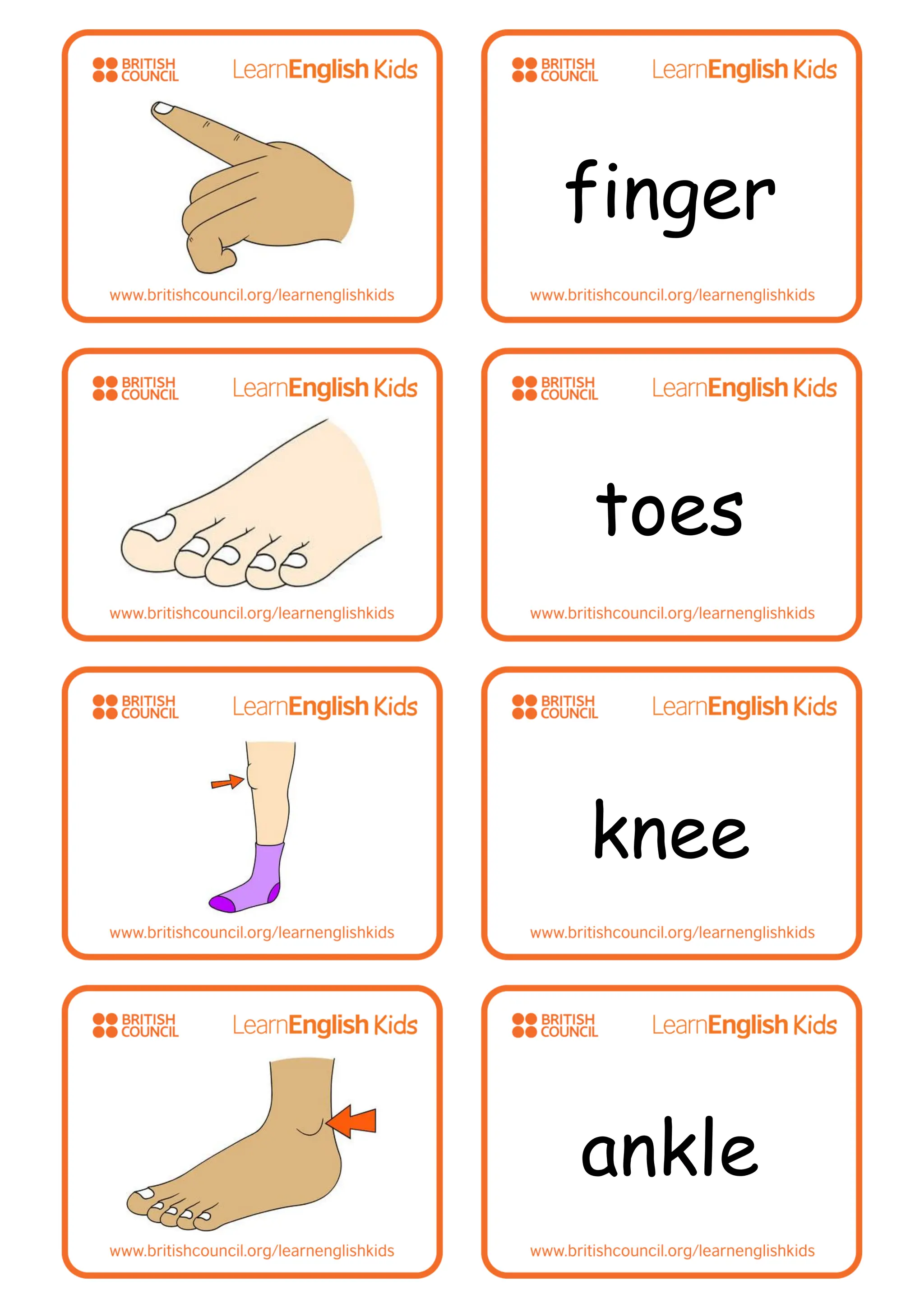 flashcards-body.pdf
