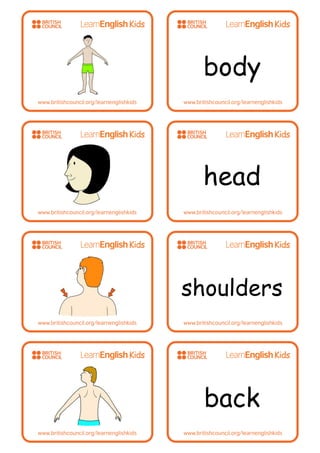 flashcards-body.pdf