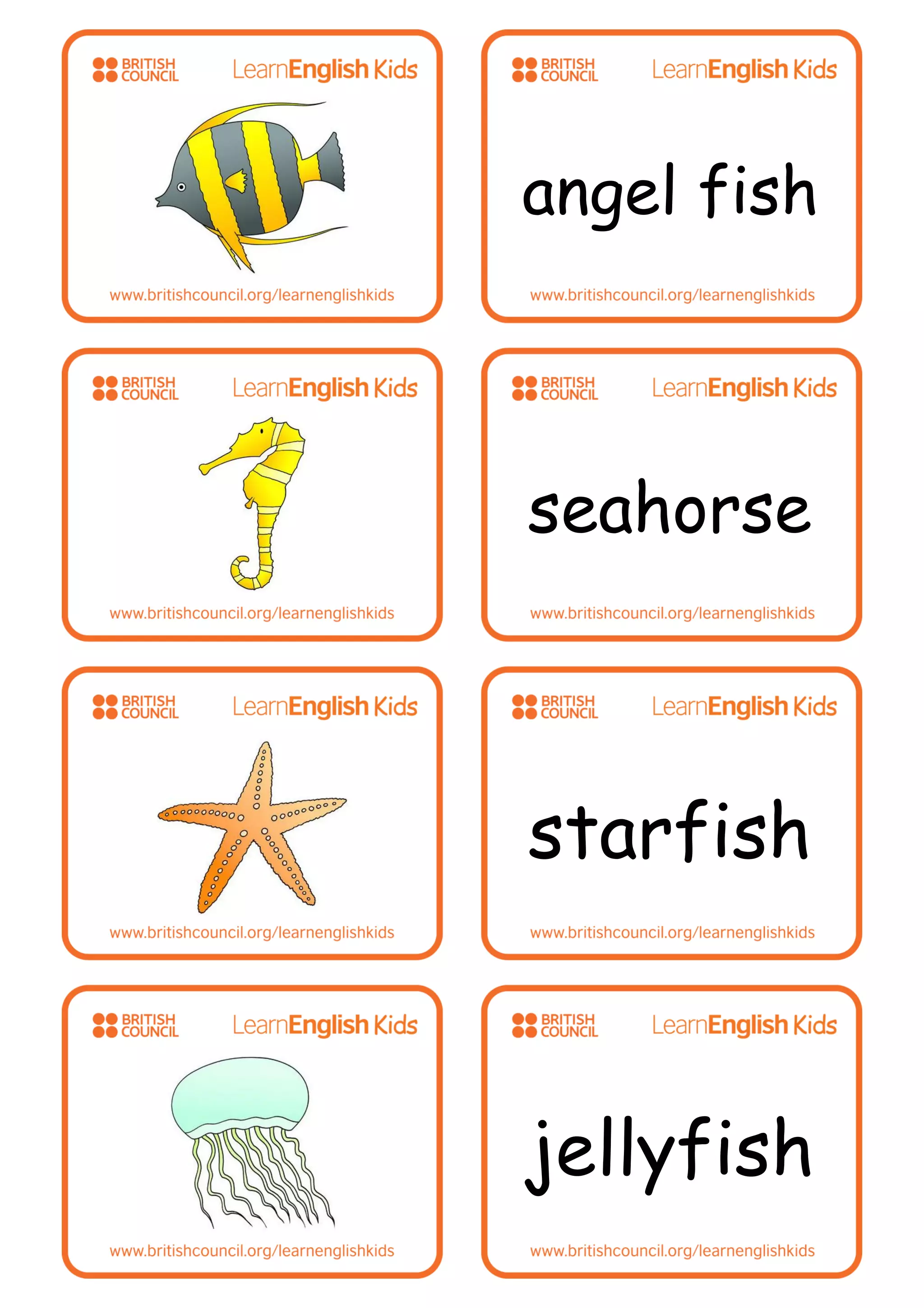 Flashcards sea-animals | PDF