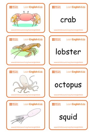 Flashcards sea-animals | PDF