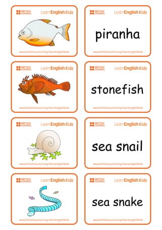 Flashcards sea-animals | PDF