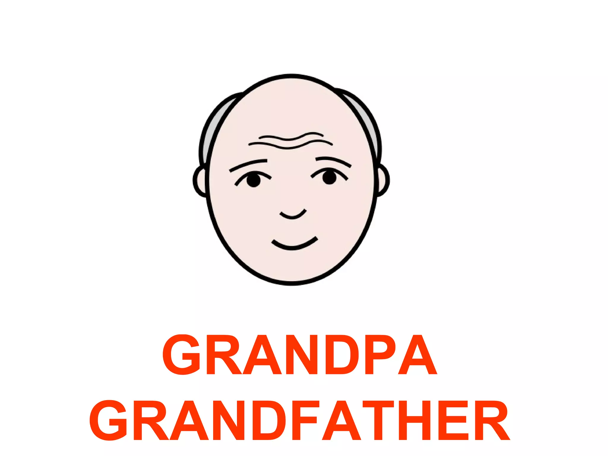 Flashcards - The family