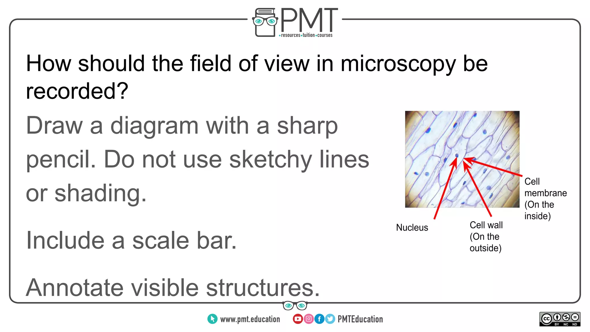 Flashcards - Topic 2.1 Cell Structure - OCR (A) Biology A-level.pdf