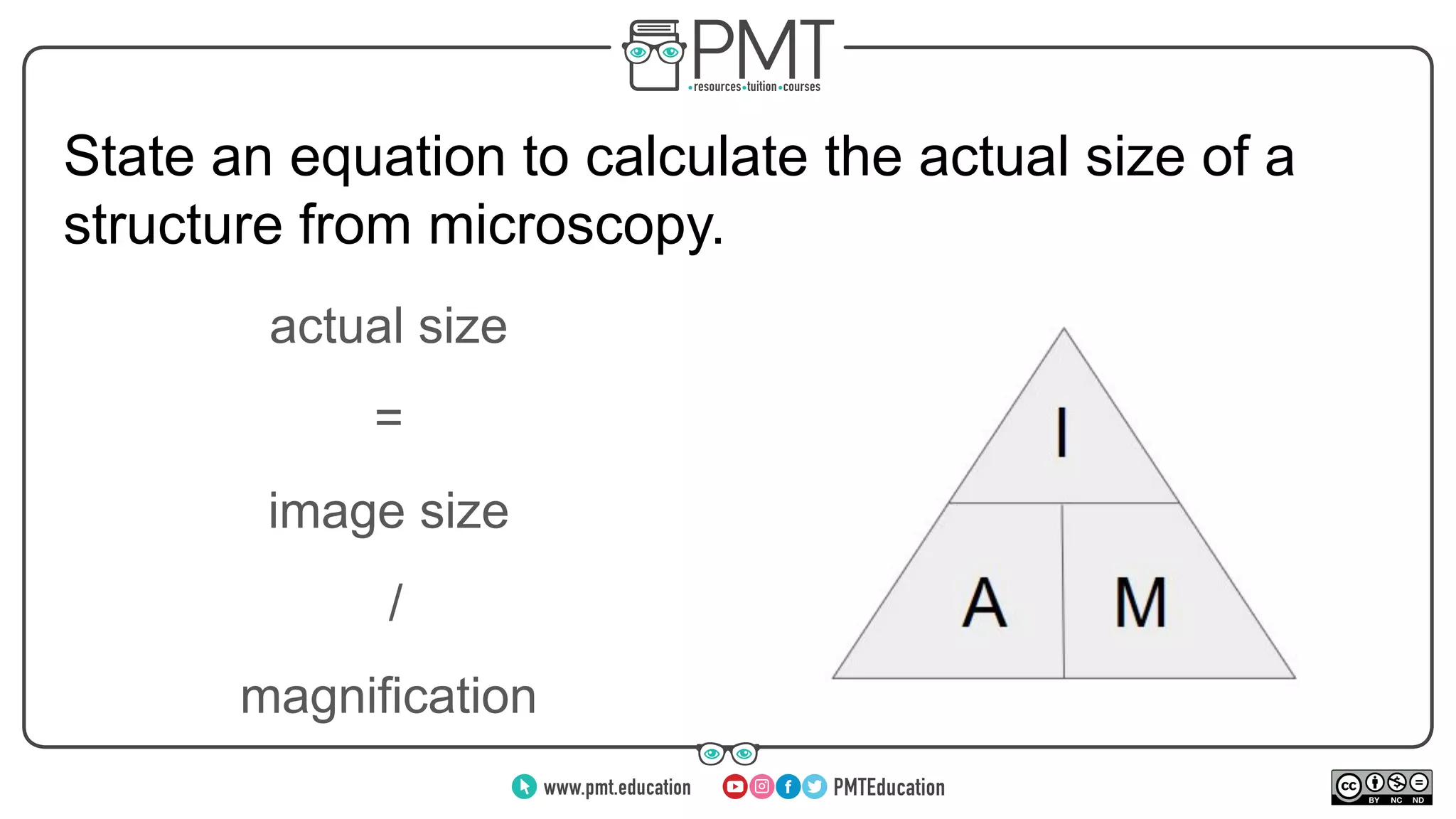 Flashcards - Topic 2.1 Cell Structure - OCR (A) Biology A-level.pdf