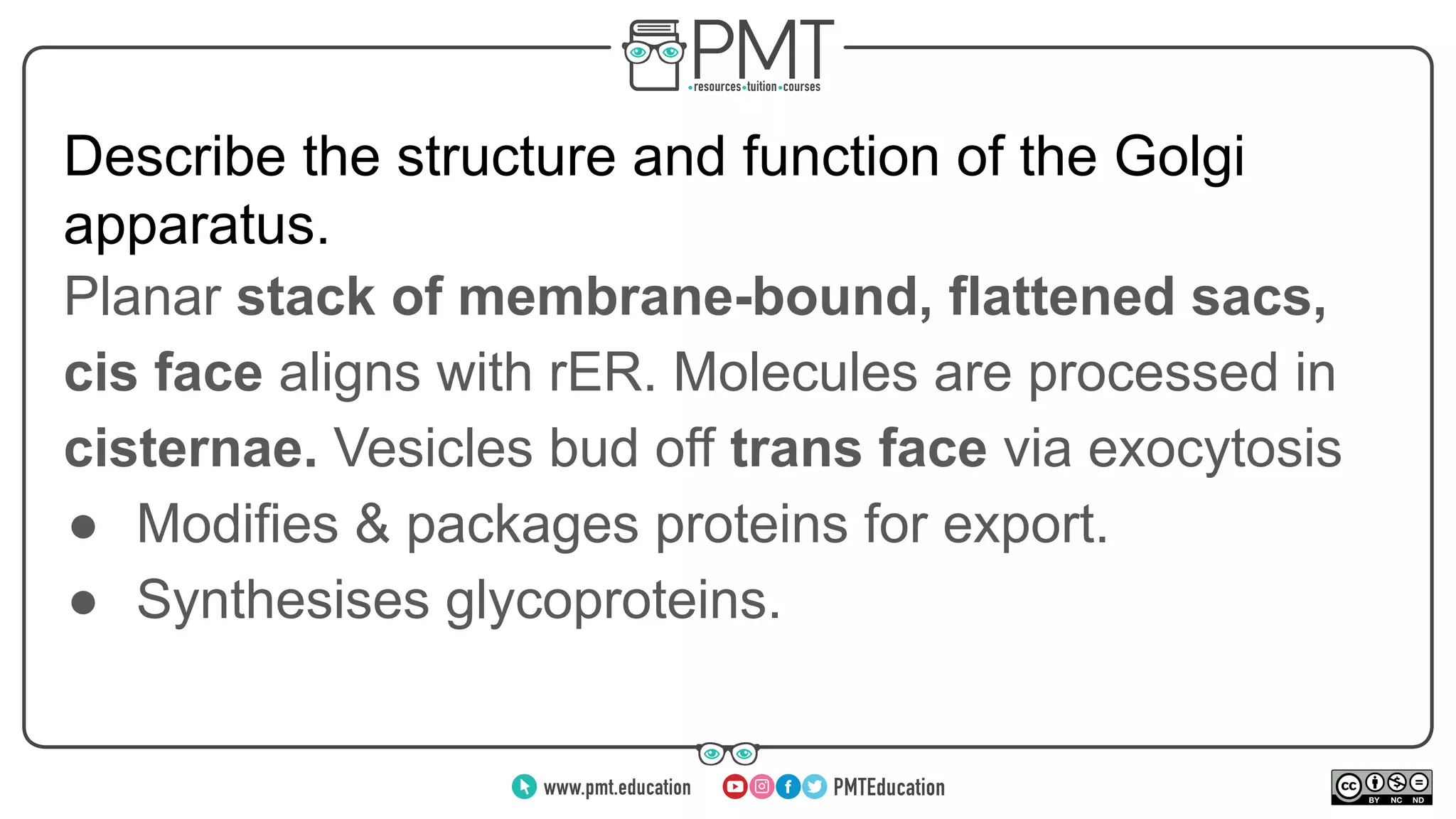 Flashcards - Topic 2.1 Cell Structure - OCR (A) Biology A-level.pdf