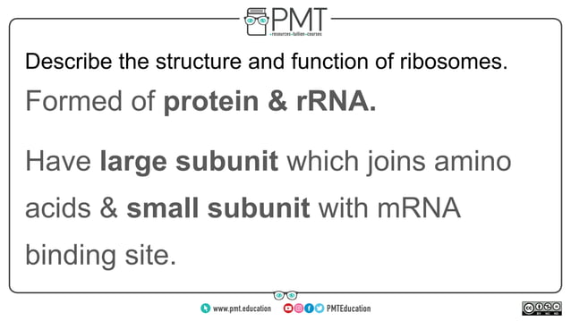 Flashcards - Topic 2.1 Cell Structure - OCR (A) Biology A-level.pdf