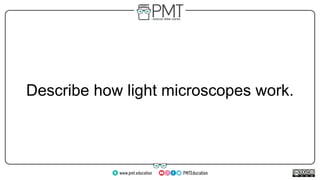 Flashcards - Topic 2.1 Cell Structure - OCR (A) Biology A-level.pdf