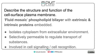 Flashcards - Topic 2.1 Cell Structure - OCR (A) Biology A-level.pdf