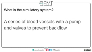 Flashcards - Topic 9 Transport in Animals - CAIE Biology IGCSE.pdf