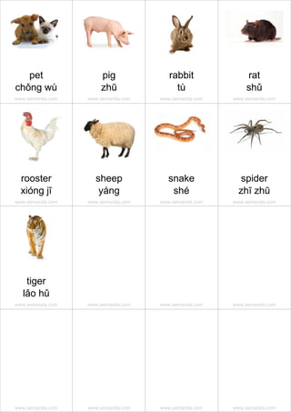 Flashcards animals | PDF