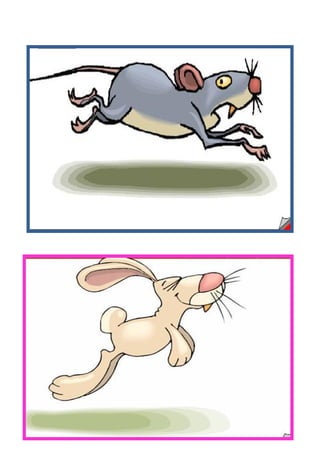 Flashcards Animals | PPT